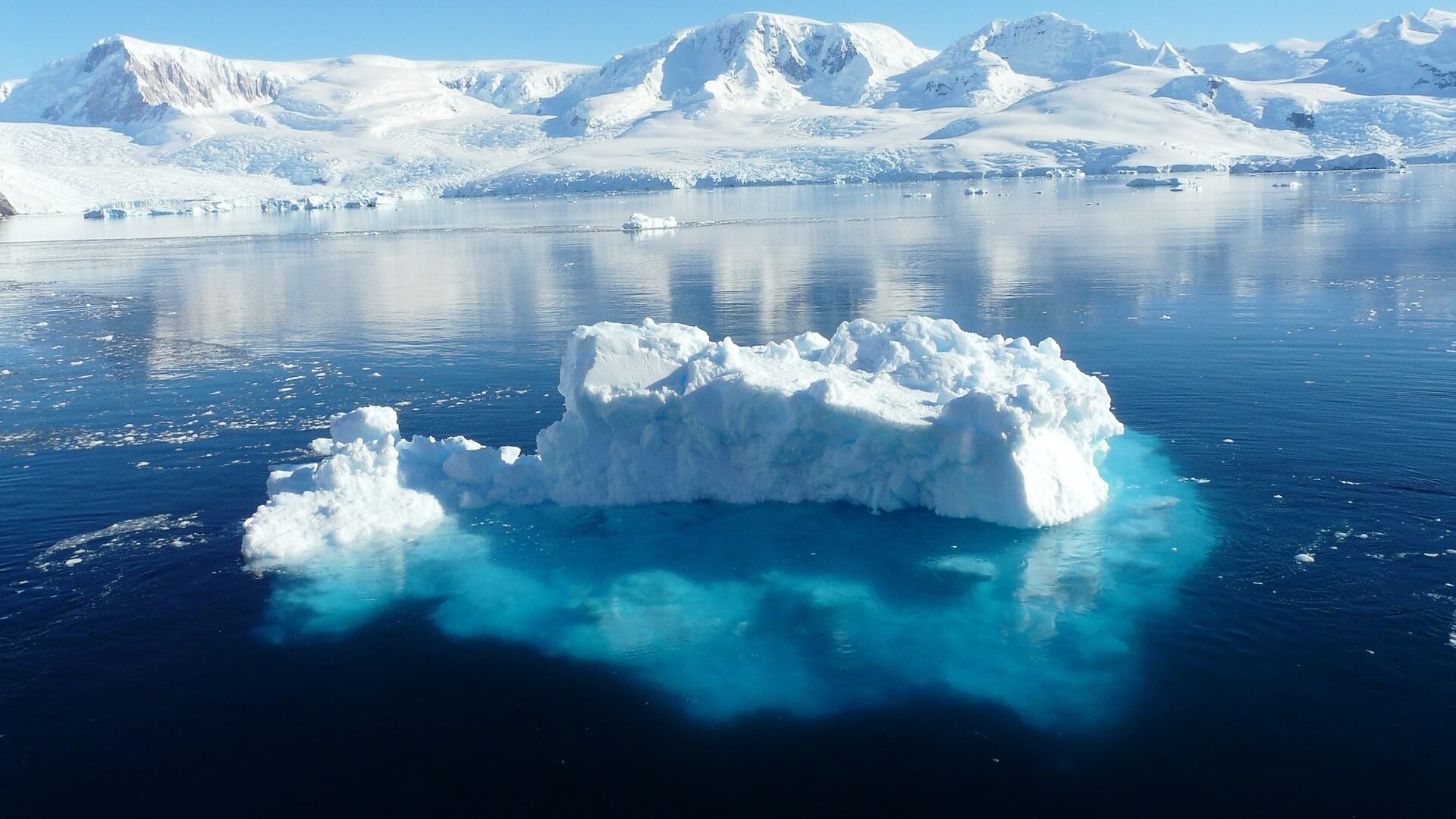 Arktis Tours: Reisen & Expeditionen - Reisespezialist seit 1976 Arktis Tours: Reisen & Expeditionen - Reisespezialist seit 1976